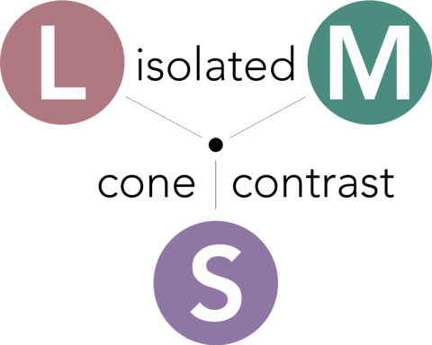 ColorDx CCT HD High Precision Color Vision Testing | Konan Medical